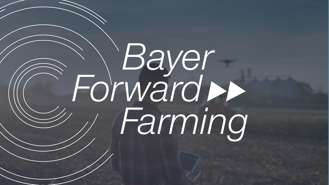 Sostenibilidad | Agro Bayer Costa Rica